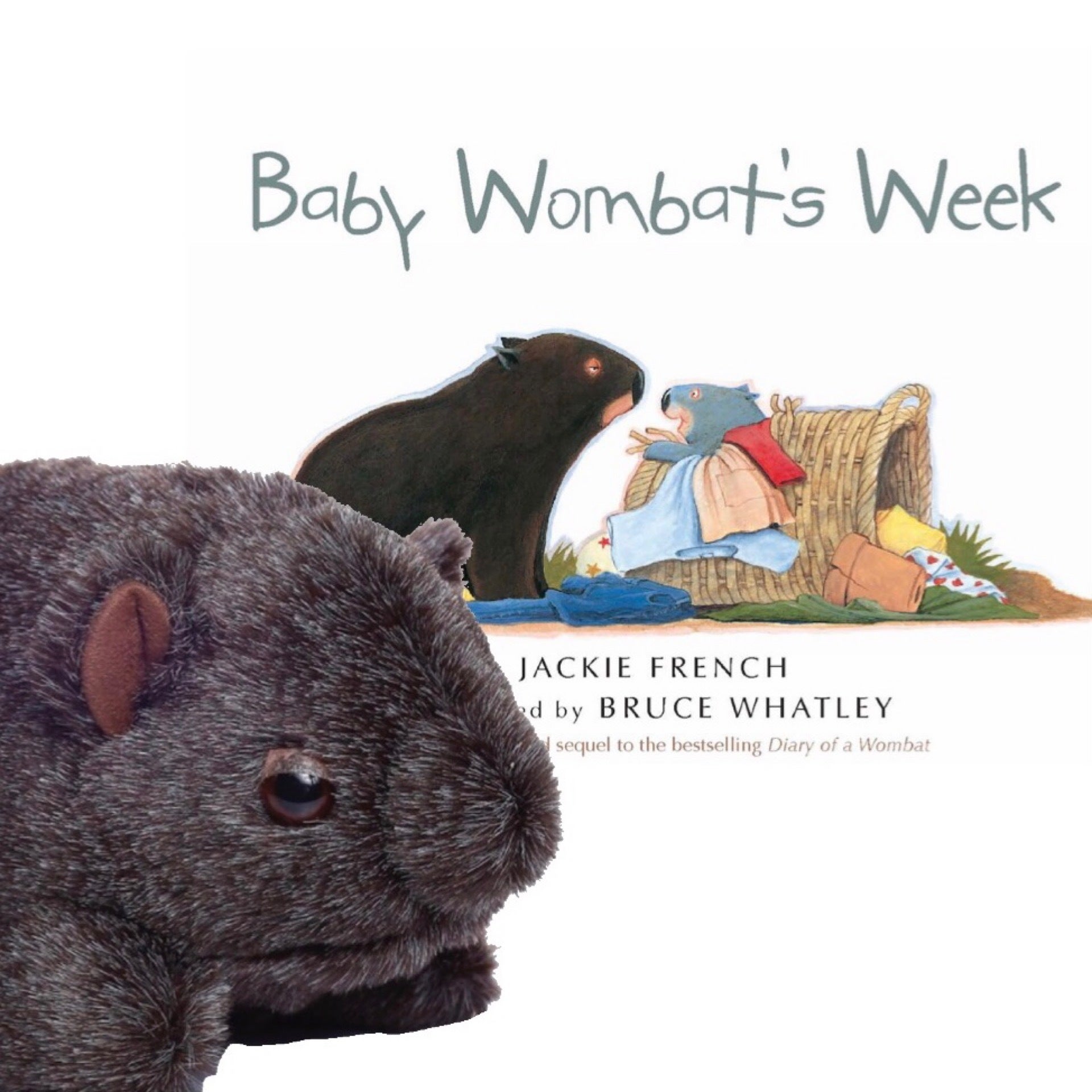 Baby Wombat's Week Board Book & Baby Wombat soft toy | Thorbourne Baby